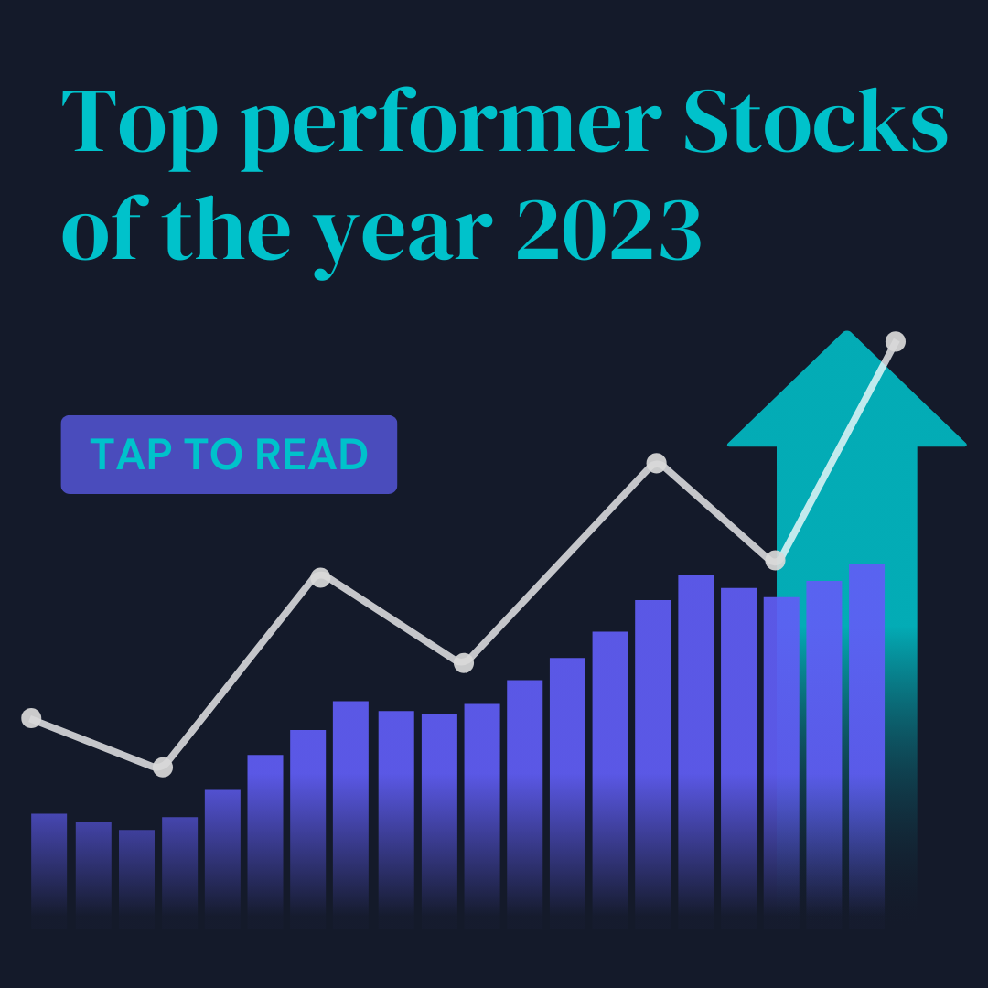 Top performer Stocks of the year 2023. Market stars! Do you own one?