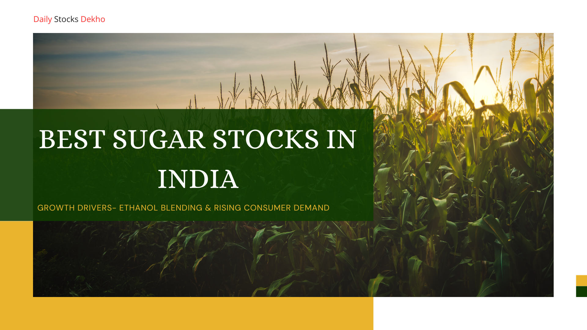 Best Sugar Stocks in India - Why Sugar Stocks Are Rising? - Daily ...